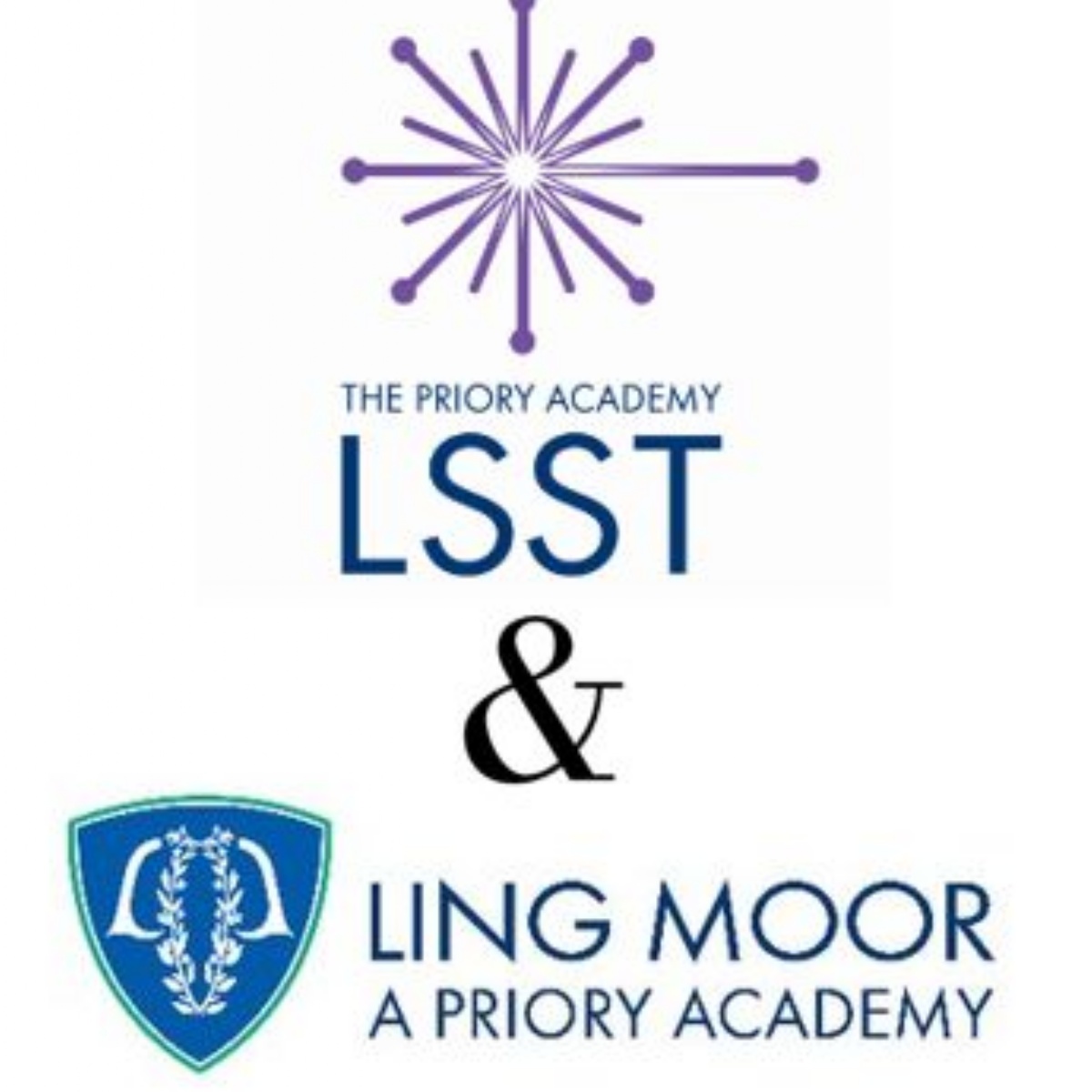 The Priory Academy LSST - Primary Science Day